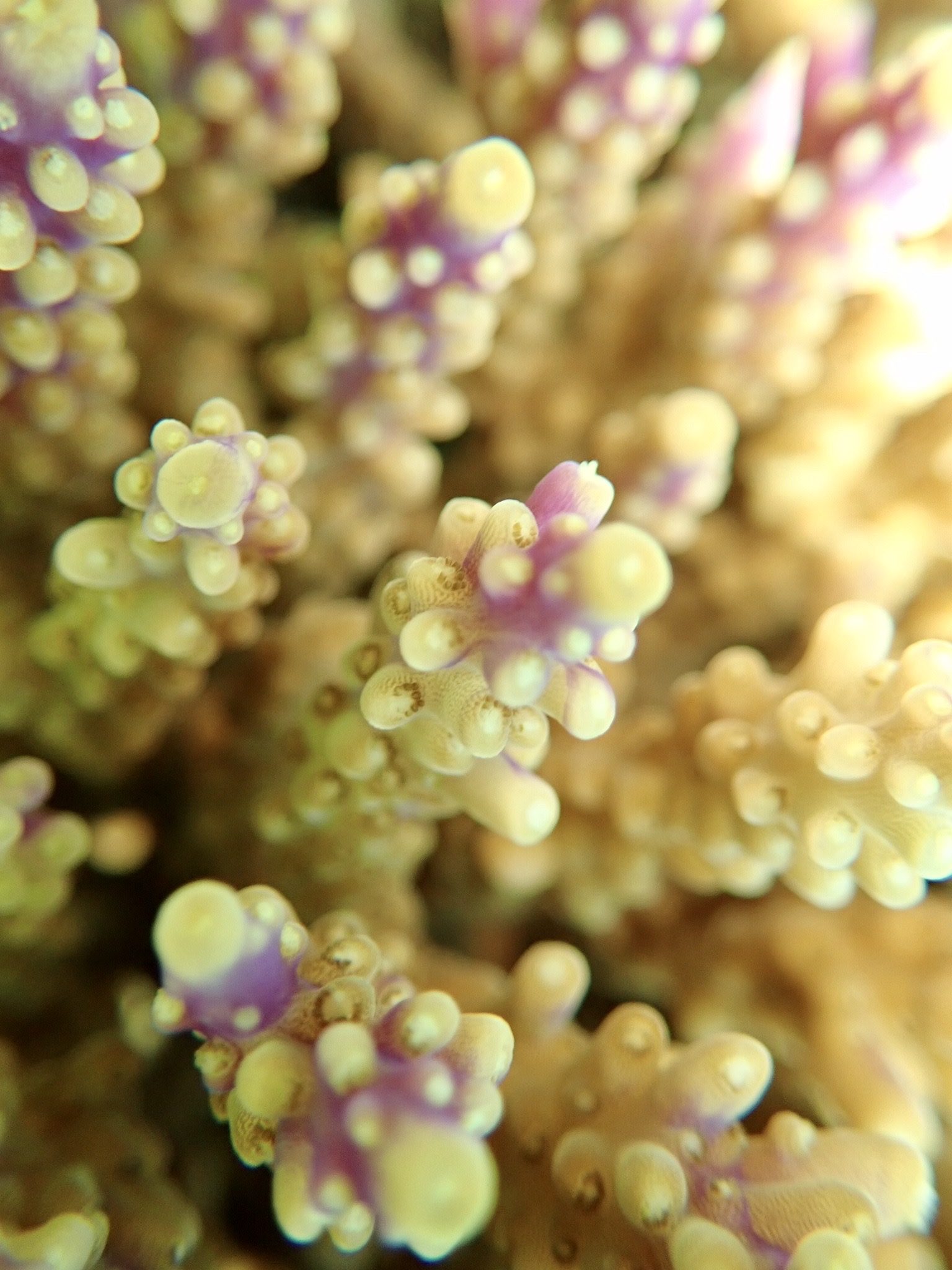 Contact – Reef Recruits